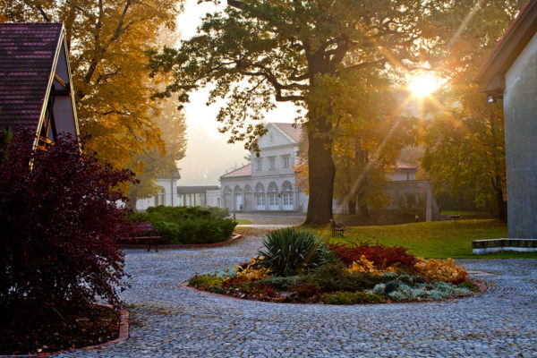 Natolin Campus | Executive Education Courses | College 2021